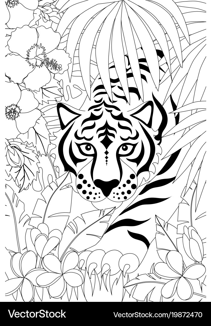 Tiger outline Royalty Free Vector Image - VectorStock