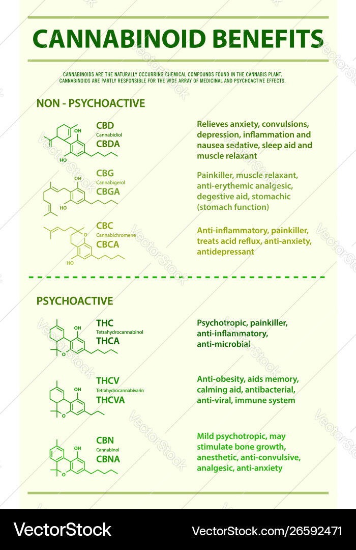 Cannabinoid Health Benefits Infographic Royalty Free Vector