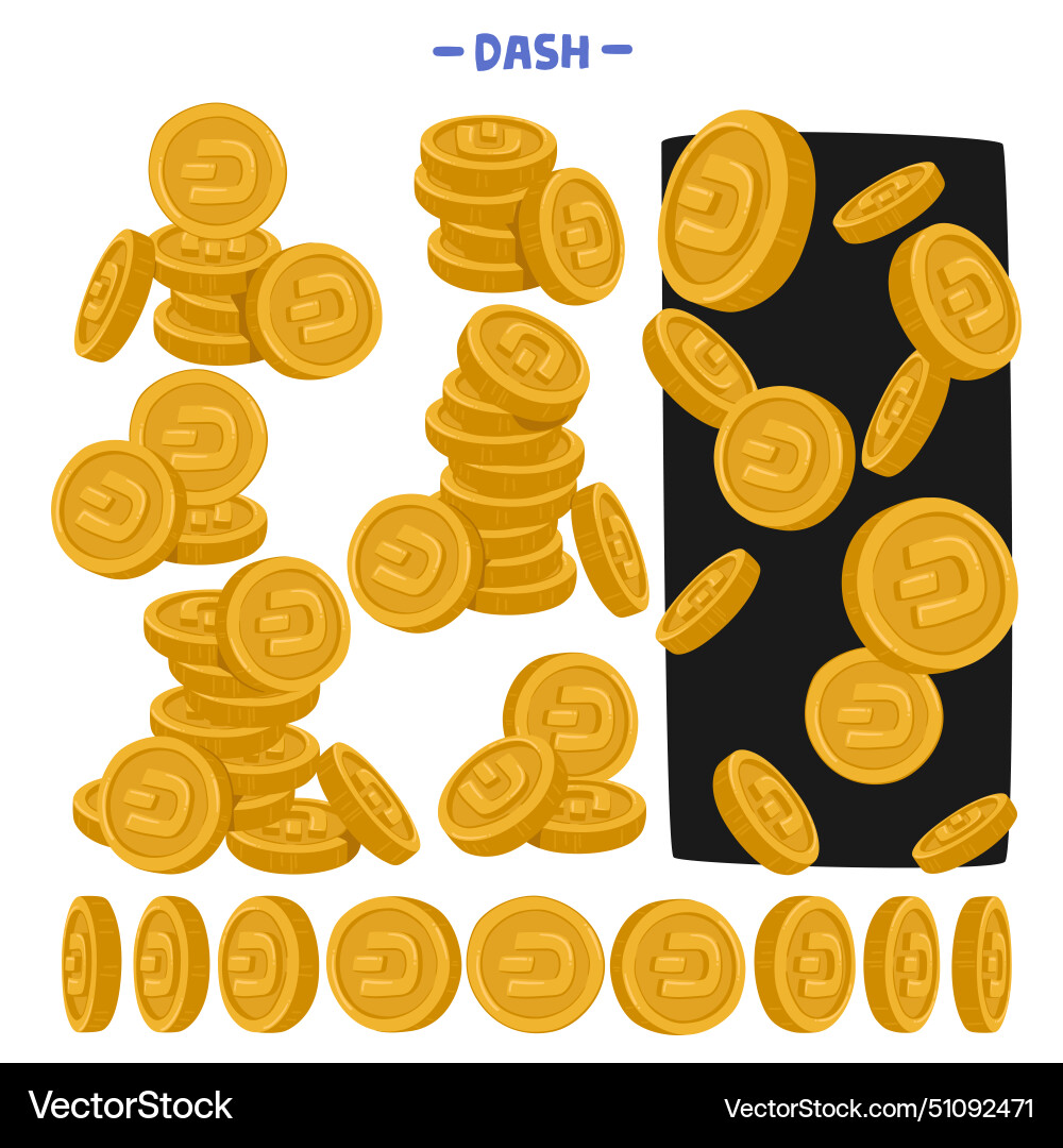 Dash coins is a privacy-centric cryptocurrency Vector Image