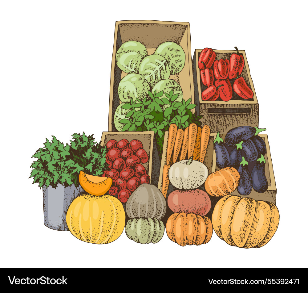 Hand Drawn Produce Vector Images (over 2,300)
