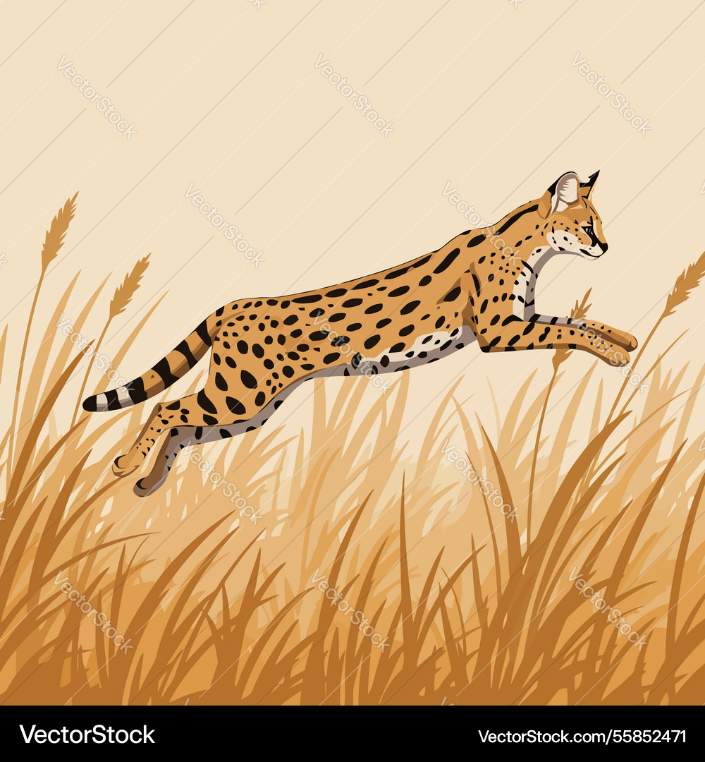 Serval cat jumping through tall grass animated Vector Image
