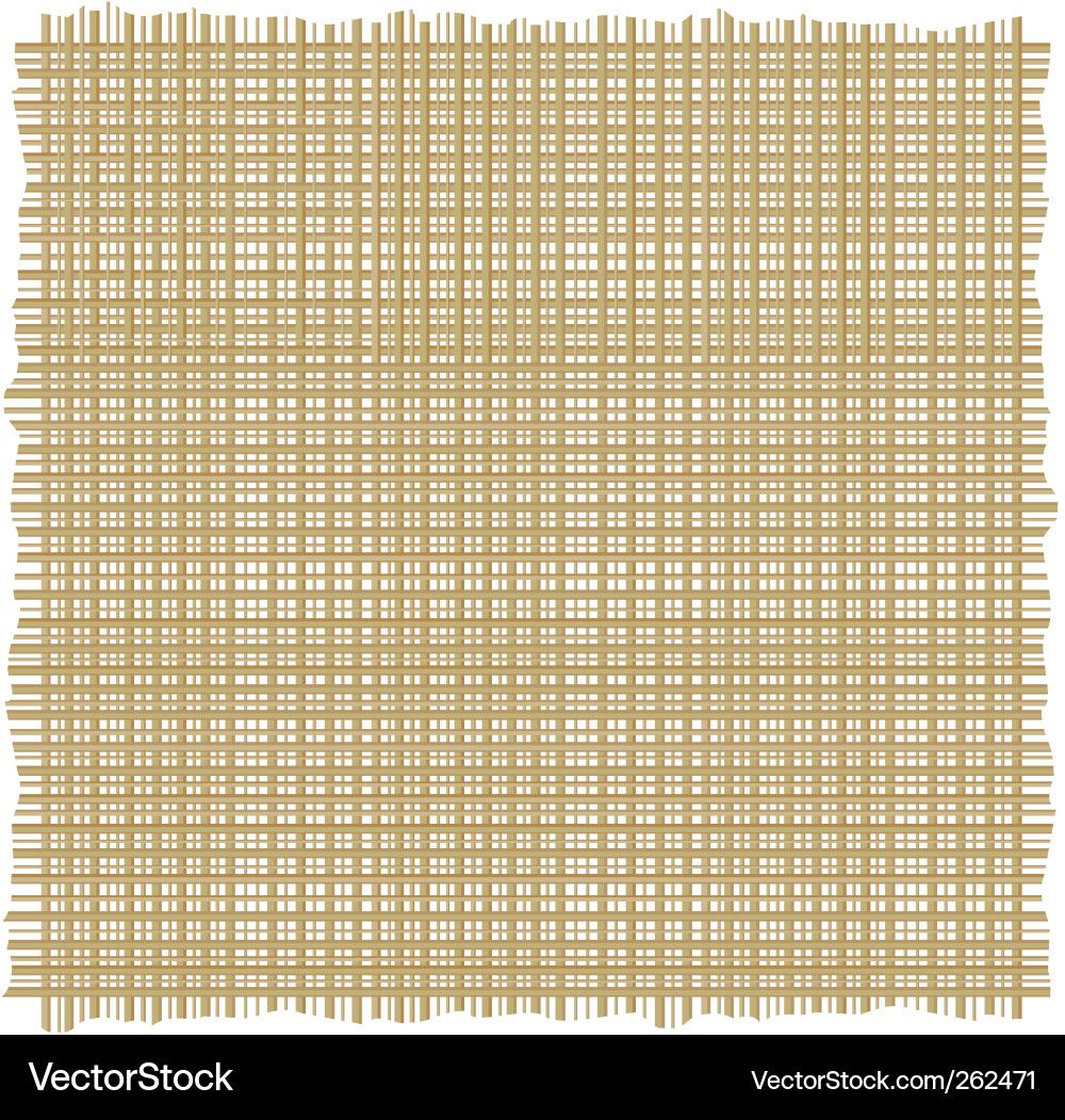 Straw texture Royalty Free Vector Image - VectorStock