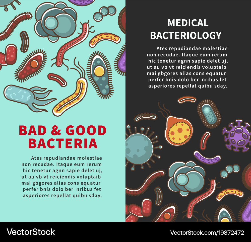 Bacteria posters for medical bacteriology or virus