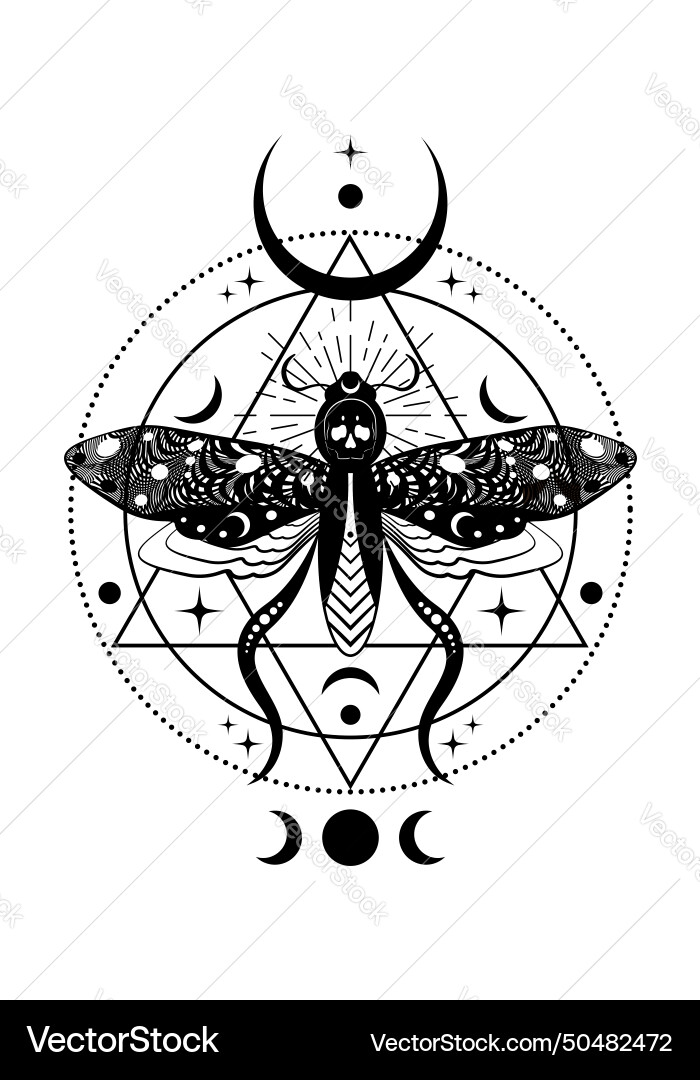Mystical death head moth in dark black color Vector Image