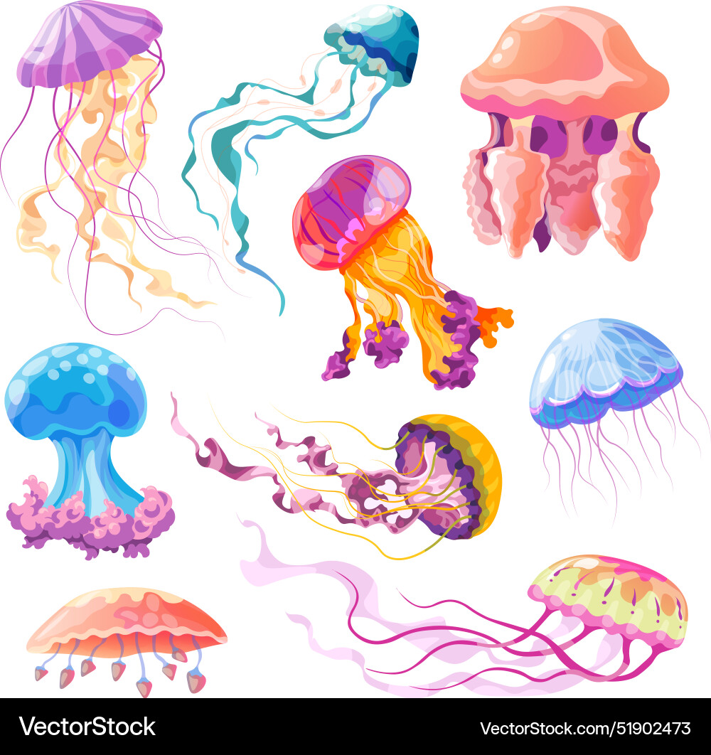 Colorful jellyfish underwater scene set Royalty Free Vector