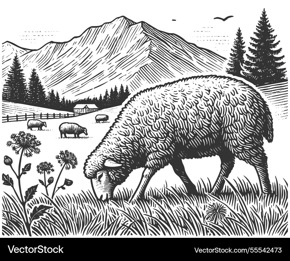 Grazing sheep mountain landscape engraving Vector Image