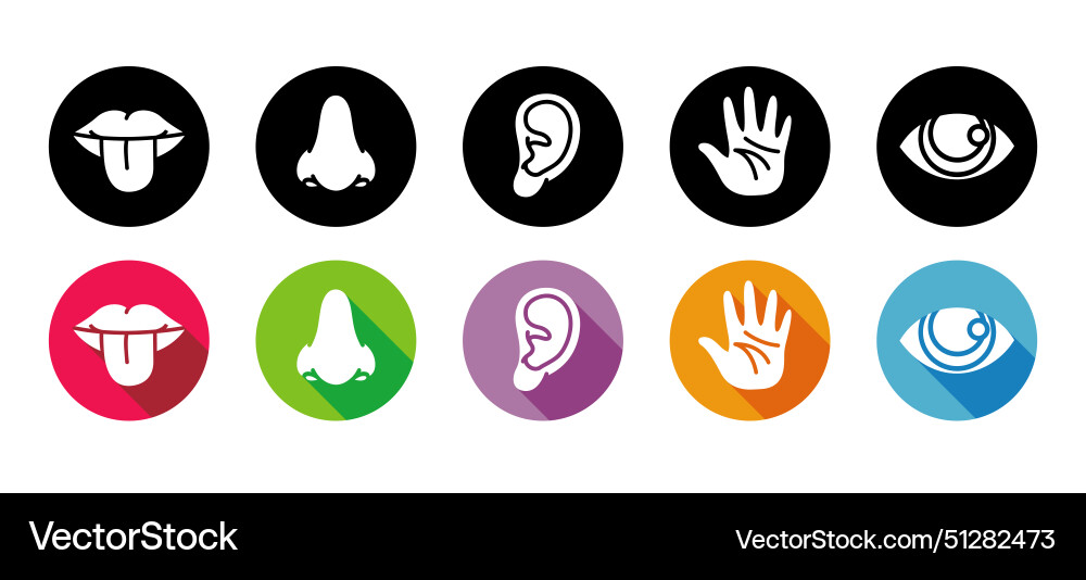 Human sense icon sethuman set Royalty Free Vector Image