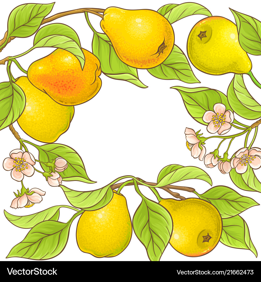 Pear frame Royalty Free Vector Image - VectorStock