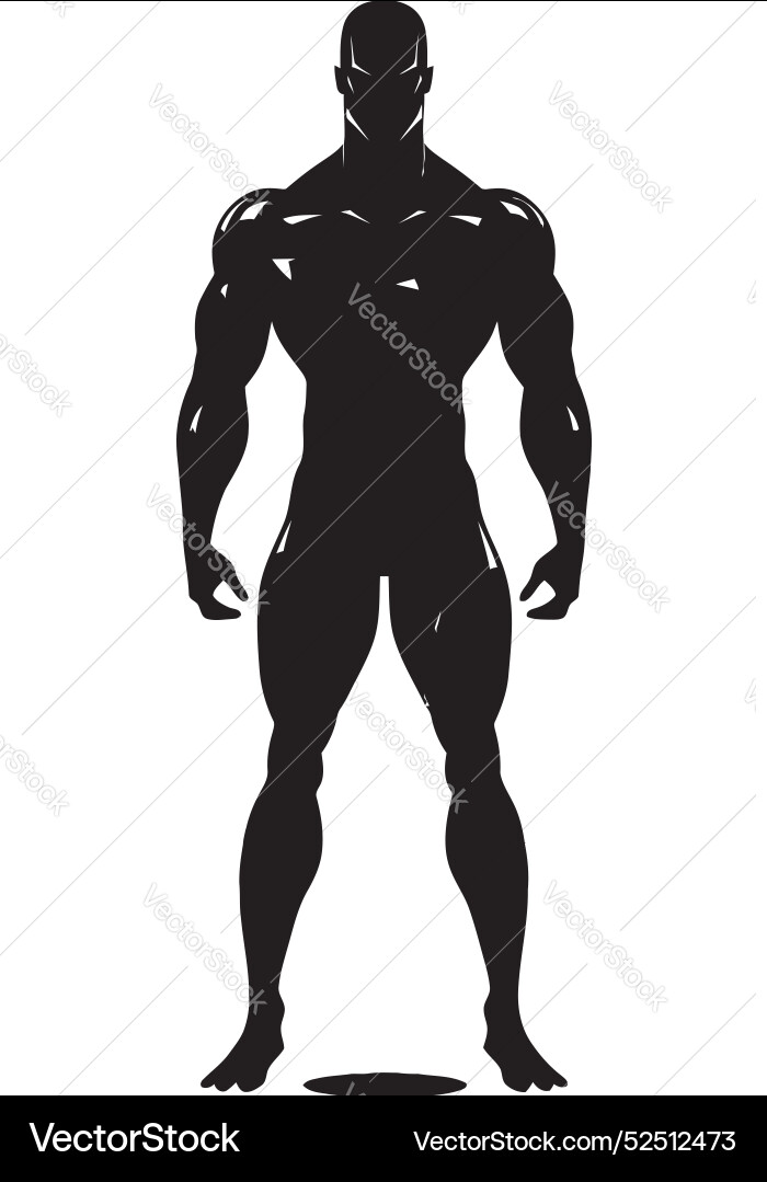 Shadowfire avenger flames of the night shadow Vector Image