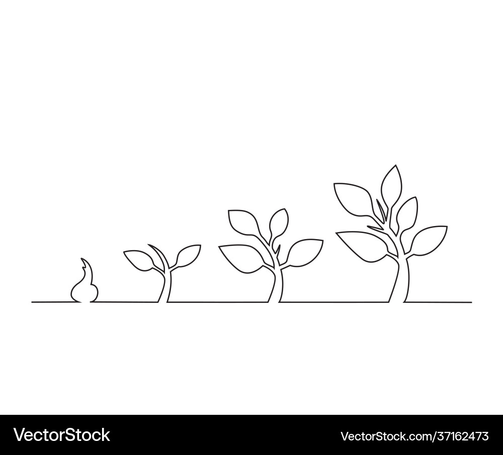 Step-by-Step Tree Growth - Line Art Royalty Free Vector
