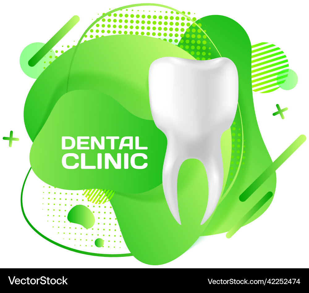 Human gum with healthy teeth and denture Vector Image