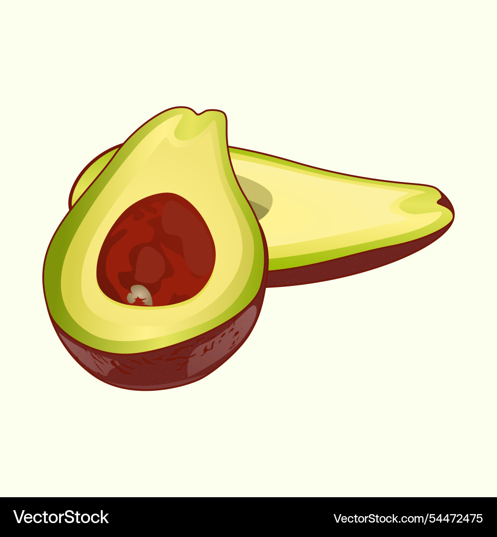 Avocado fruit Royalty Free Vector Image - VectorStock