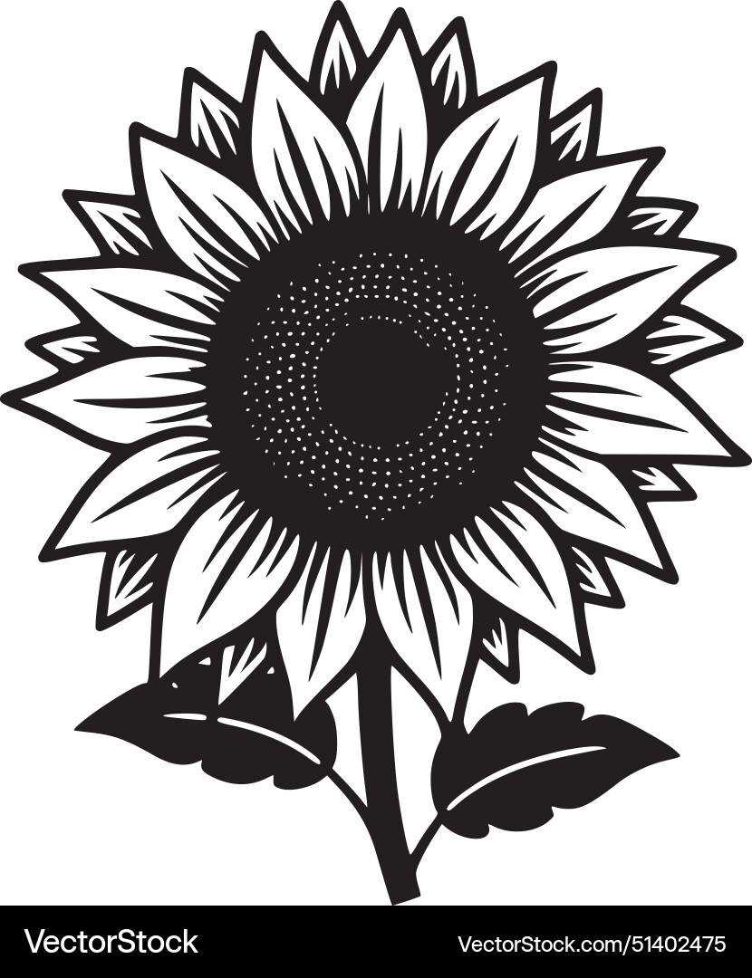 Sunflower - black and white isolated icon Vector Image