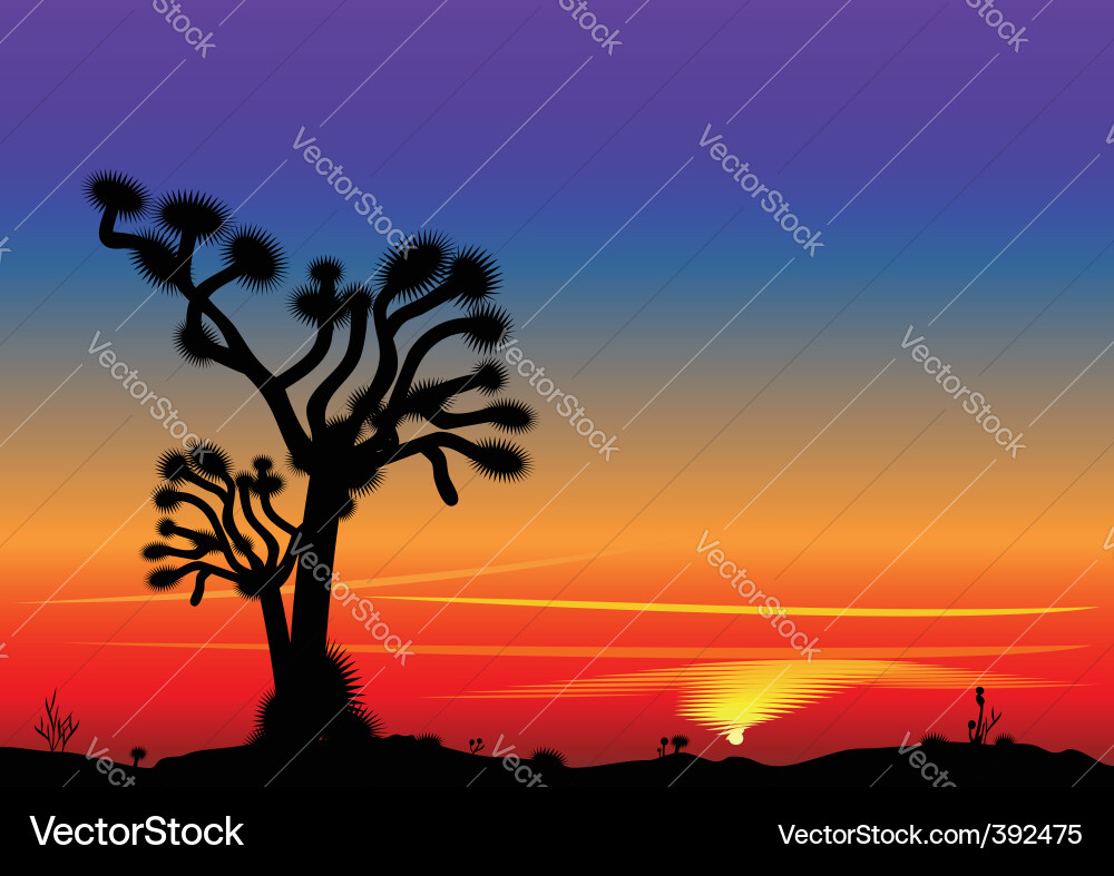Sunset Royalty Free Vector Image - VectorStock