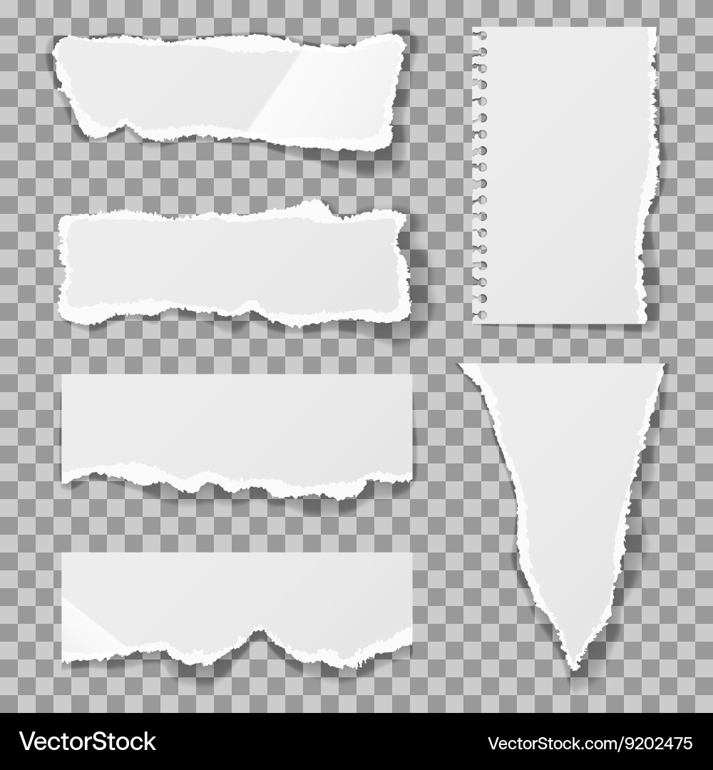 Torn Paper Rips and Tears Set Royalty Free Vector Image