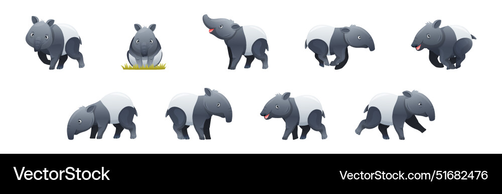 Cute malayan tapir as asian animal with white Vector Image