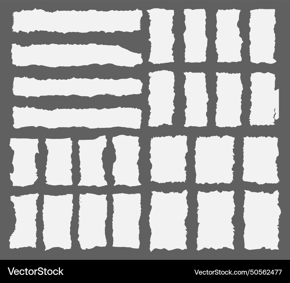 Paper torn strips shapes blank scrap Royalty Free Vector