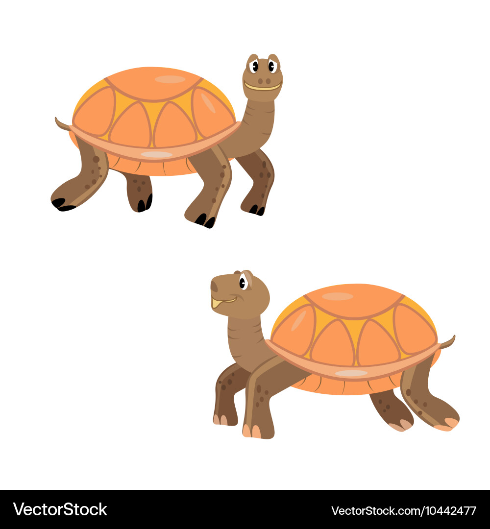 Turtles cartoon orange smile isolated Royalty Free Vector