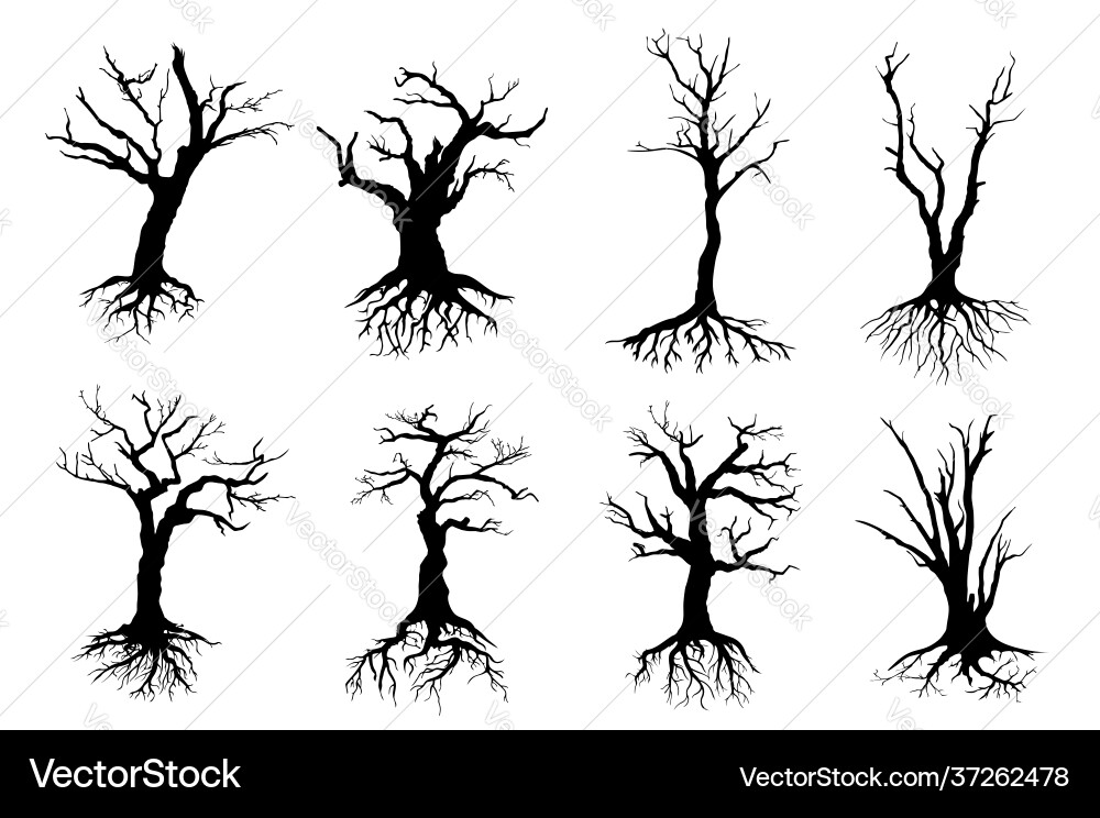 Dead trees with naked branches and long roots Vector Image