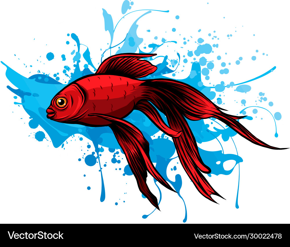 Red drum redfish Royalty Free Vector Image - VectorStock