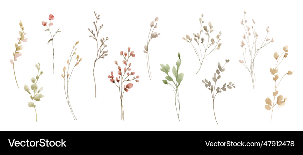 Watercolor set of fall branches isolated Vector Image