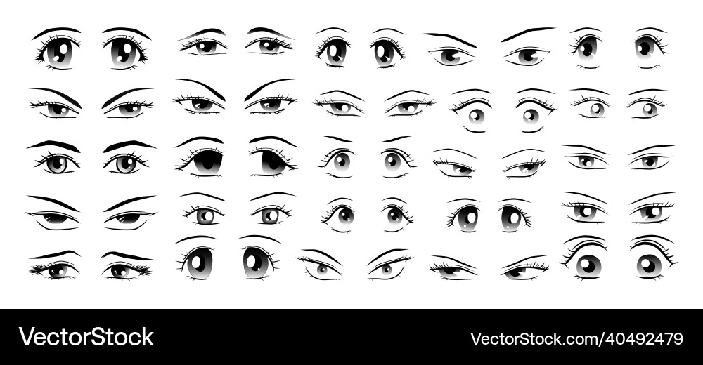 Monochrome Human Eye Expressions Royalty Free Vector Image