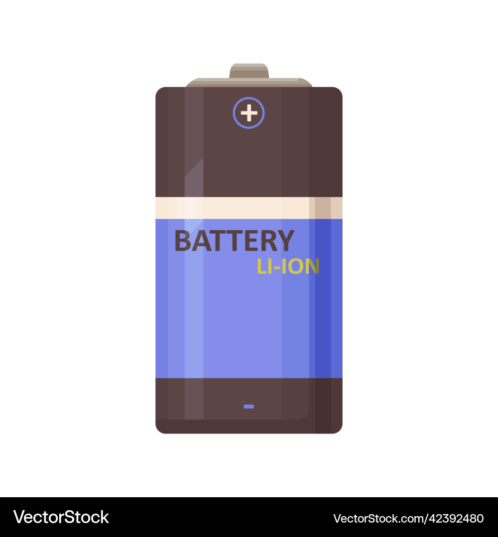 Li-ion battery type icon lithium rechargeable Vector Image