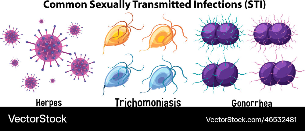 Common sexually transmitted infections sti Vector Image