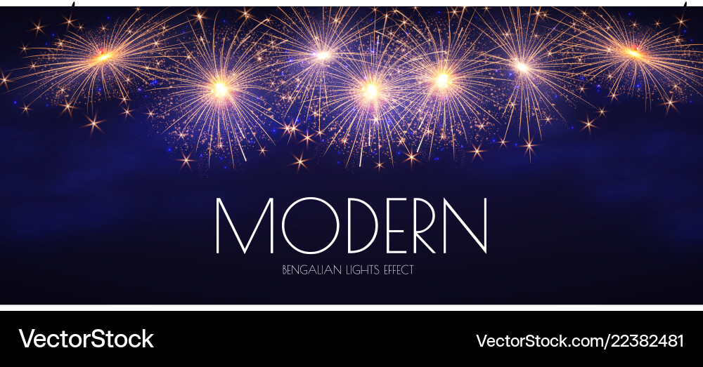 Sparcler and firework christmas decoration lights Vector Image