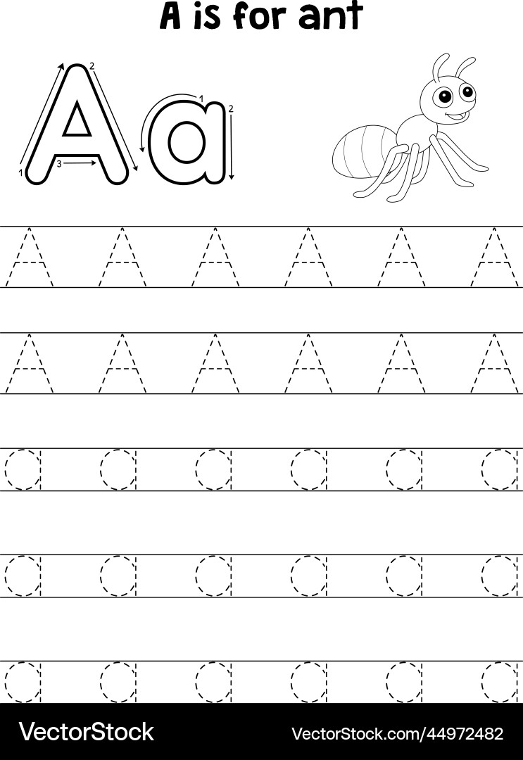 Ant animal tracing letter abc coloring page Vector Image
