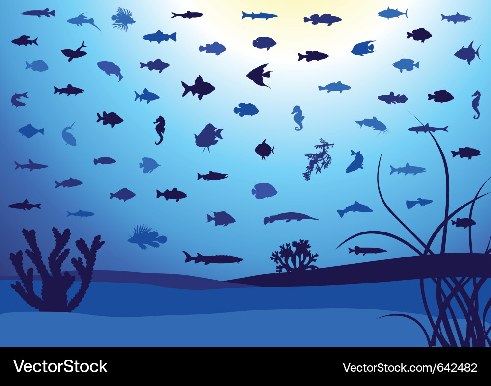 Fish Tank Silhouette Vector Images (over 1,400)