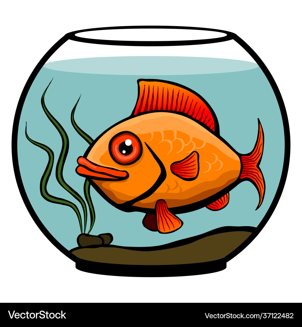 Gold fish in a round aquarium Royalty Free Vector Image