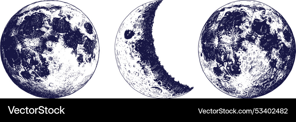 Moon Phase Sketches - Vintage Astronomy Royalty Free Vector