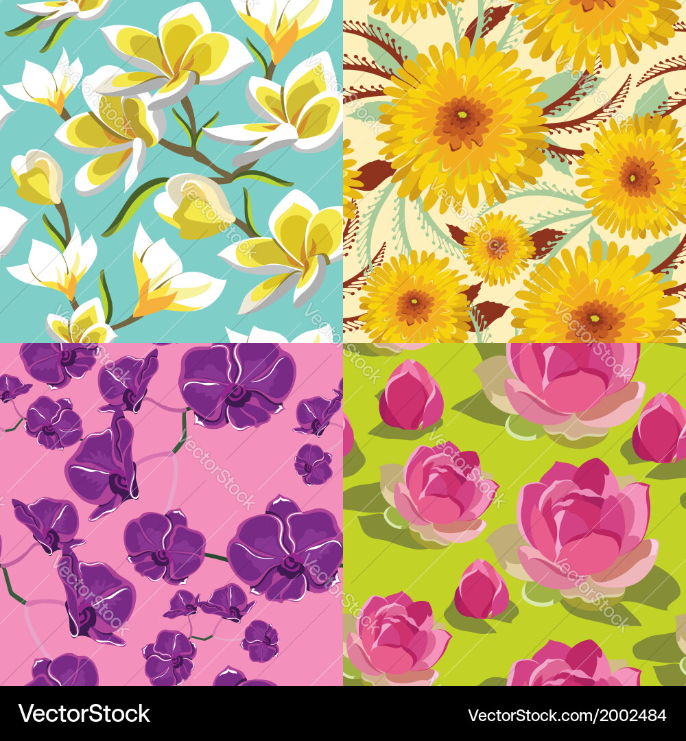 Floral set seamless patterns hand-drawing Vector Image