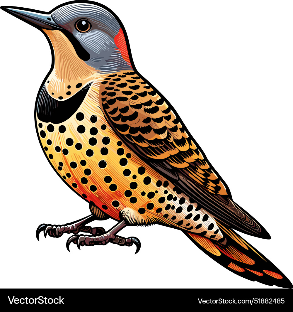 Alabama Background Drawing Vector Images (over 360)