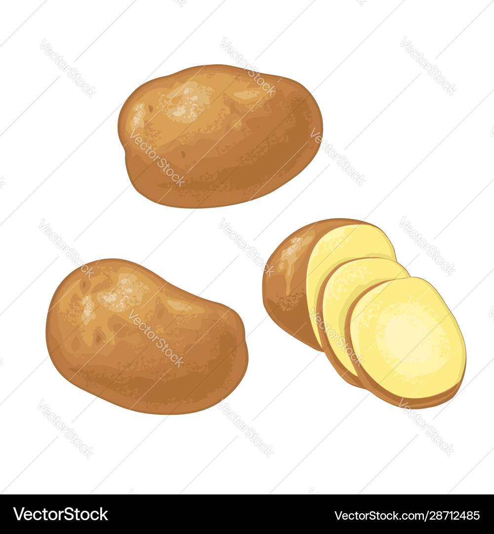 Potato roots whole and slice flat color Royalty Free Vector