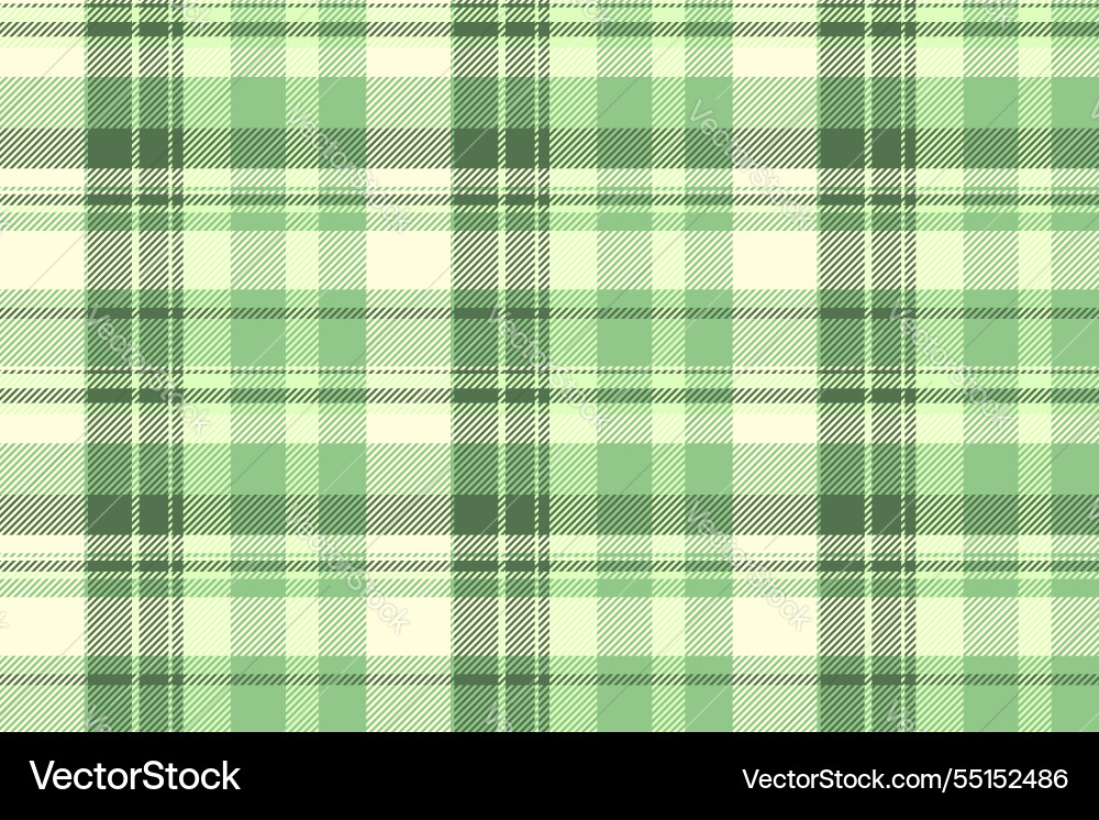 Elegant pastel green and cream plaid pattern Vector Image
