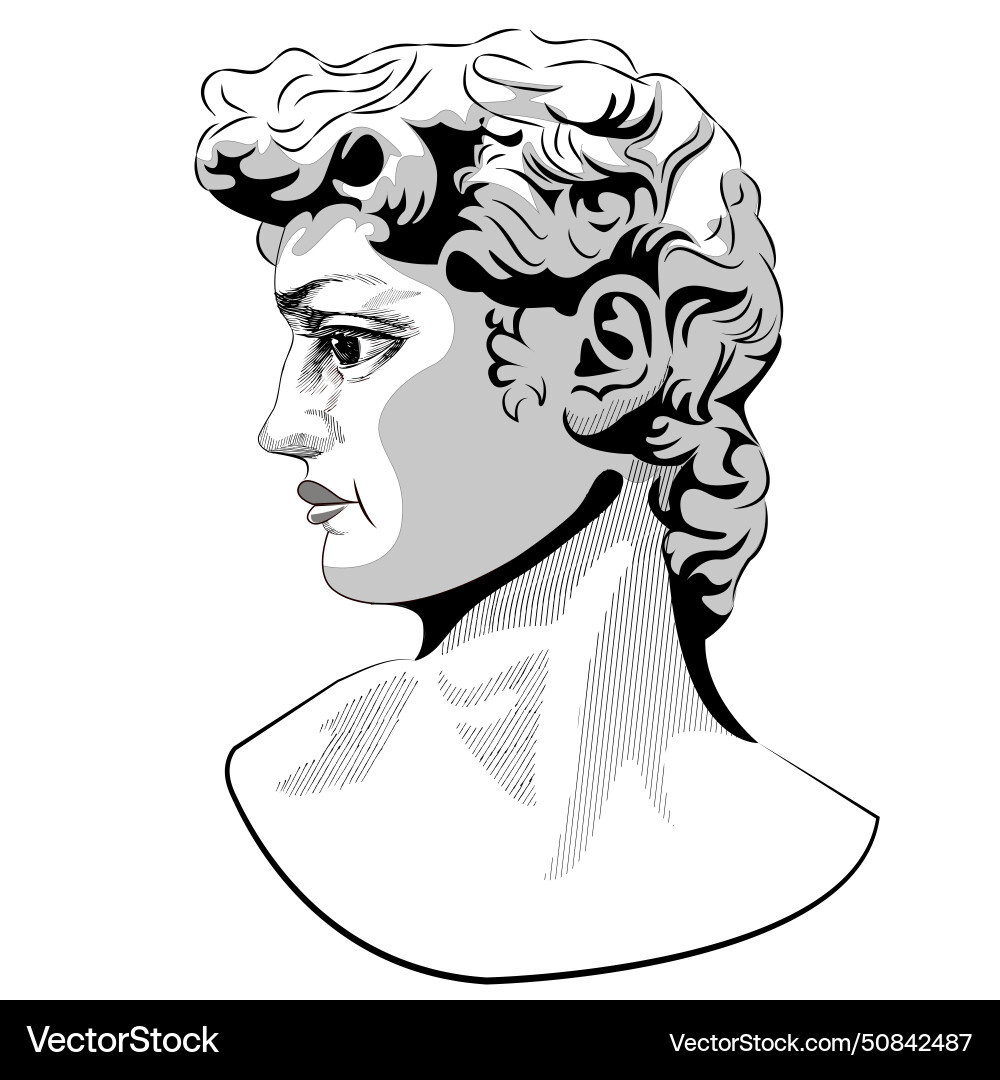 Head of an antique statue david Royalty Free Vector Image