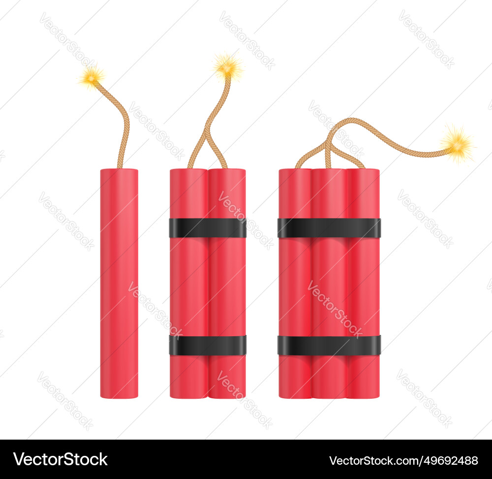 Bomb with flickering fuse realistic tnt Royalty Free Vector
