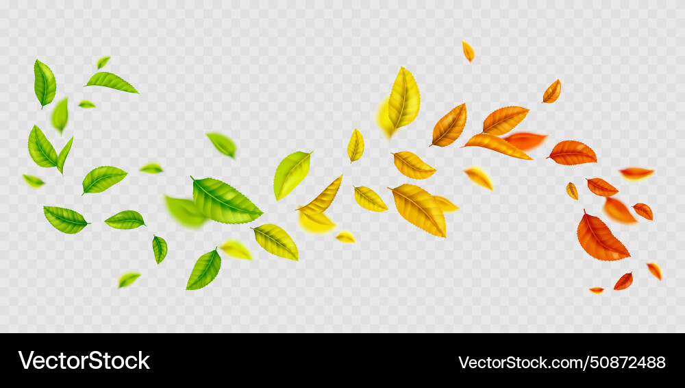 Flying gradient colored leaf curly wave line Vector Image