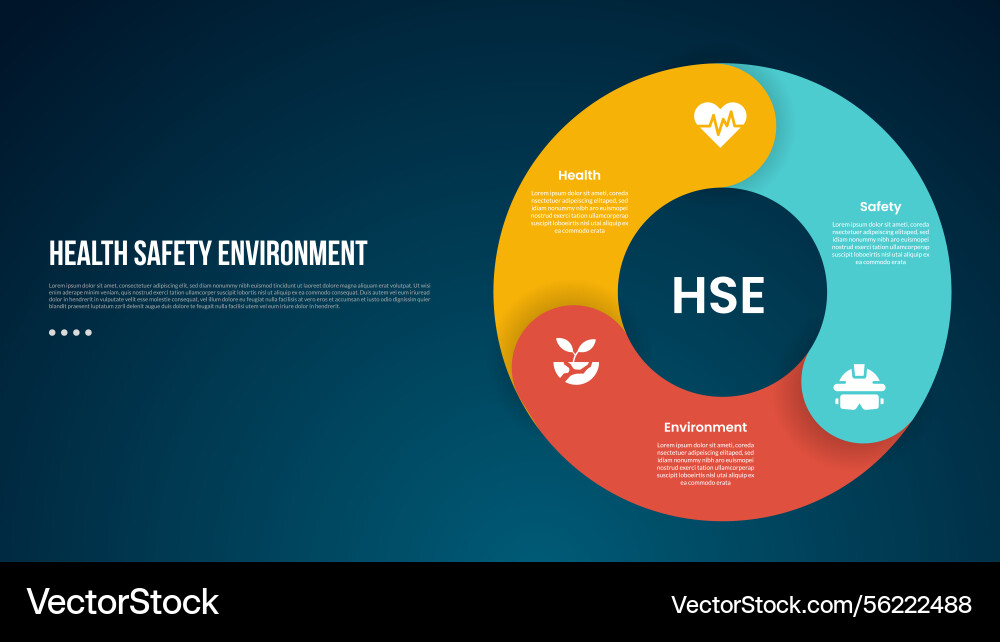 Hse infographic template with thick outline Vector Image