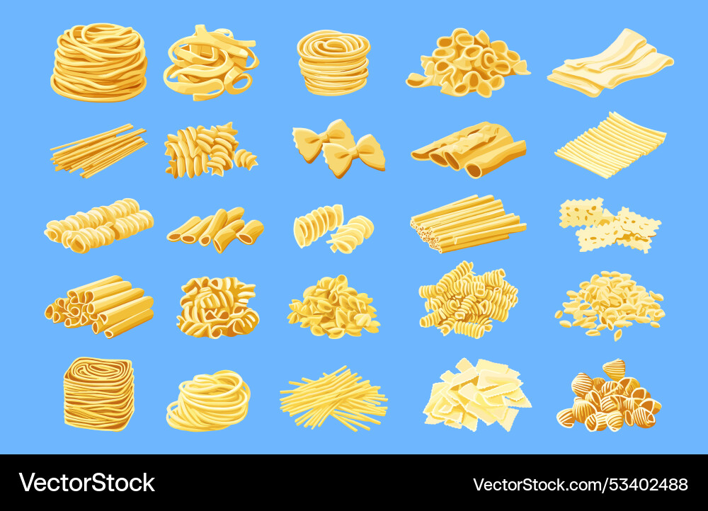 Pasta types different raw macaroni and noodle Vector Image