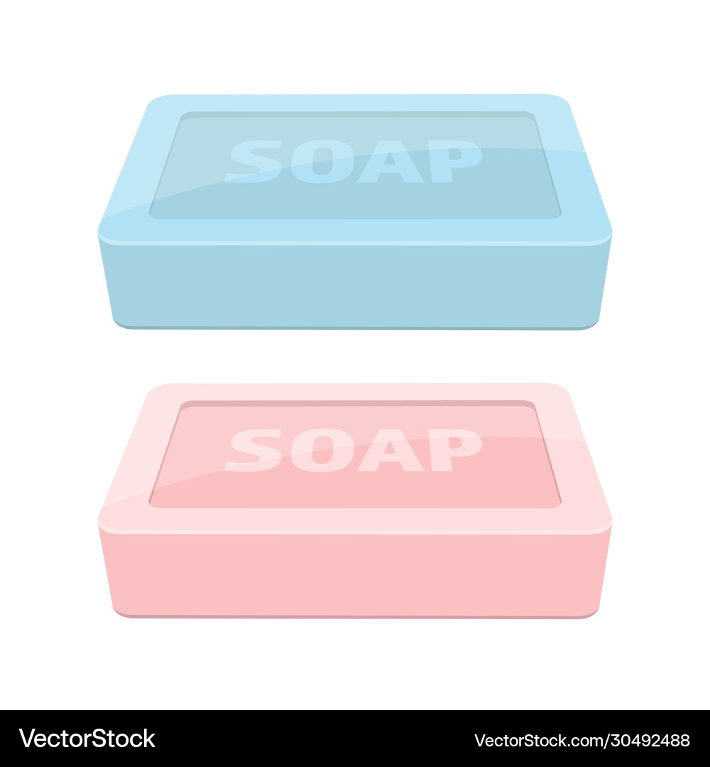Solid soap for washing Royalty Free Vector Image
