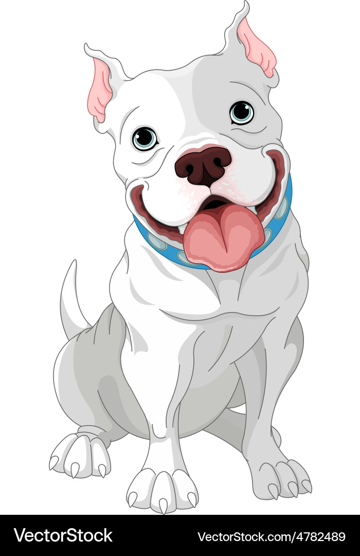 Cute Pit Bull Cartoon Royalty Free Vector Image