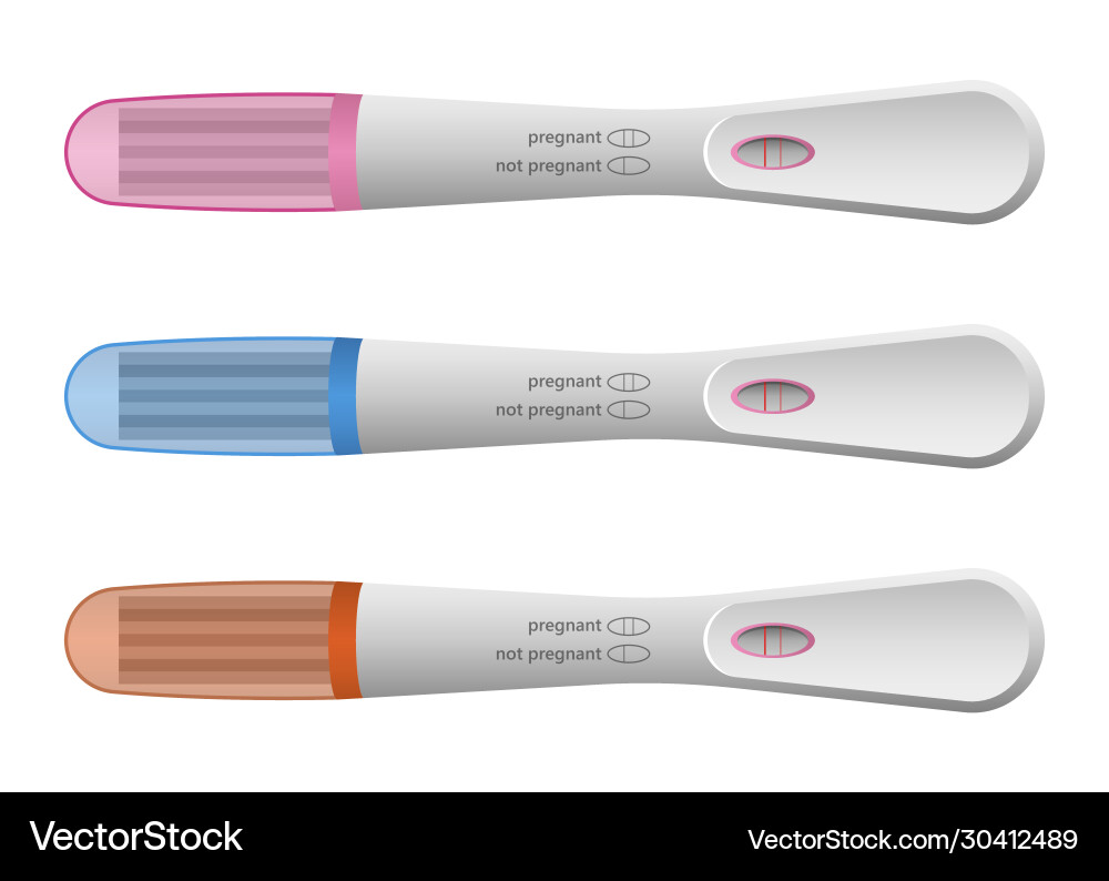 Pregnancy test Royalty Free Vector Image - VectorStock