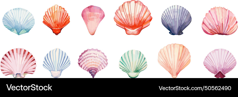 Seashells clipart watercolor seashell isolated Vector Image