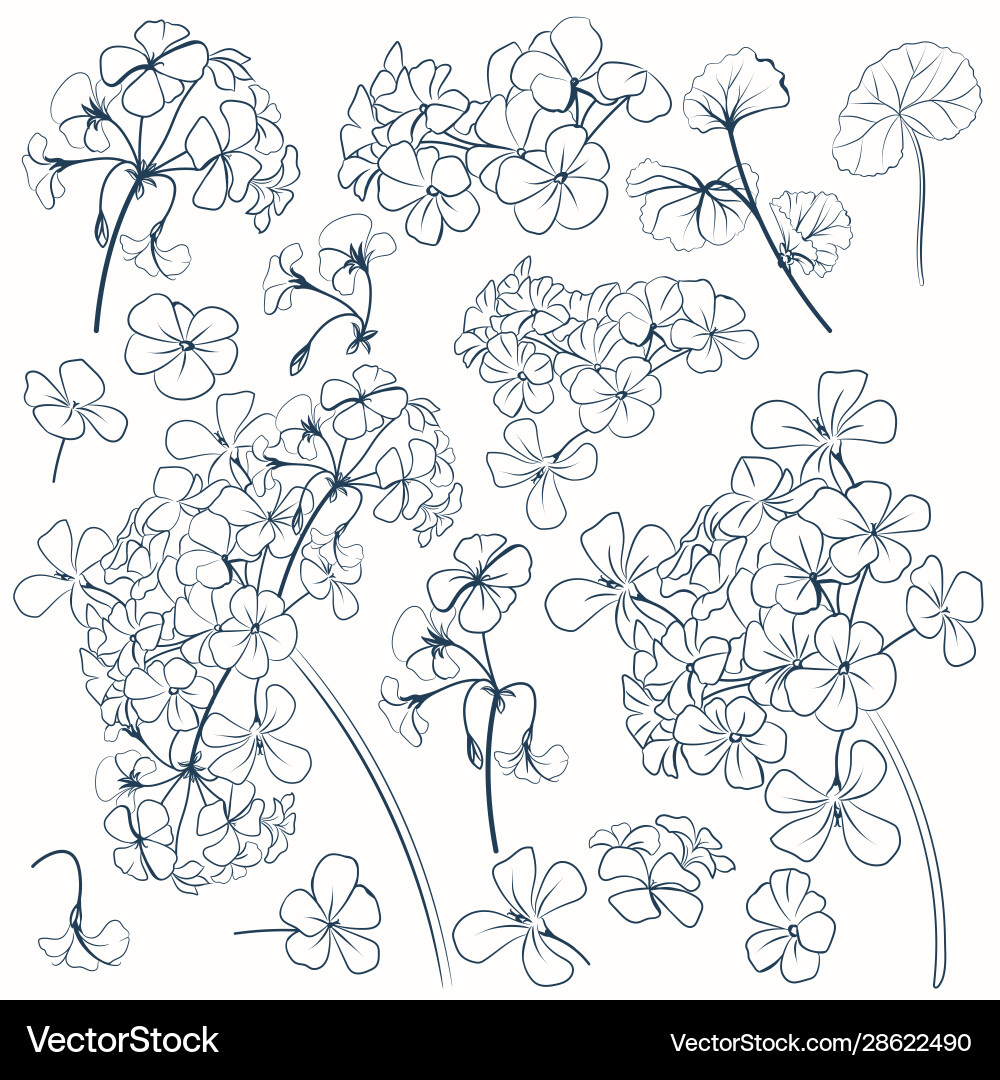 Set flower shapes for design Royalty Free Vector Image