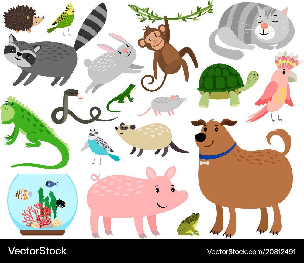 Cartoon pet animals set Royalty Free Vector Image