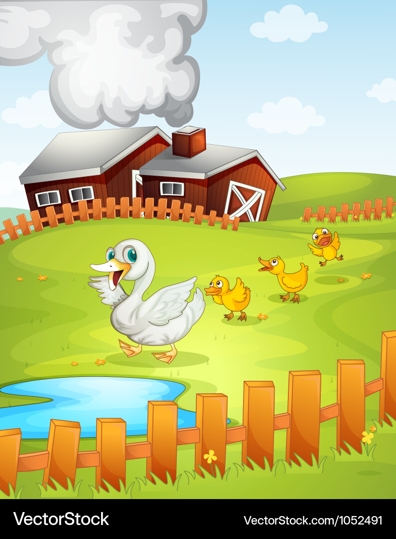 Ducks Royalty Free Vector Image - VectorStock