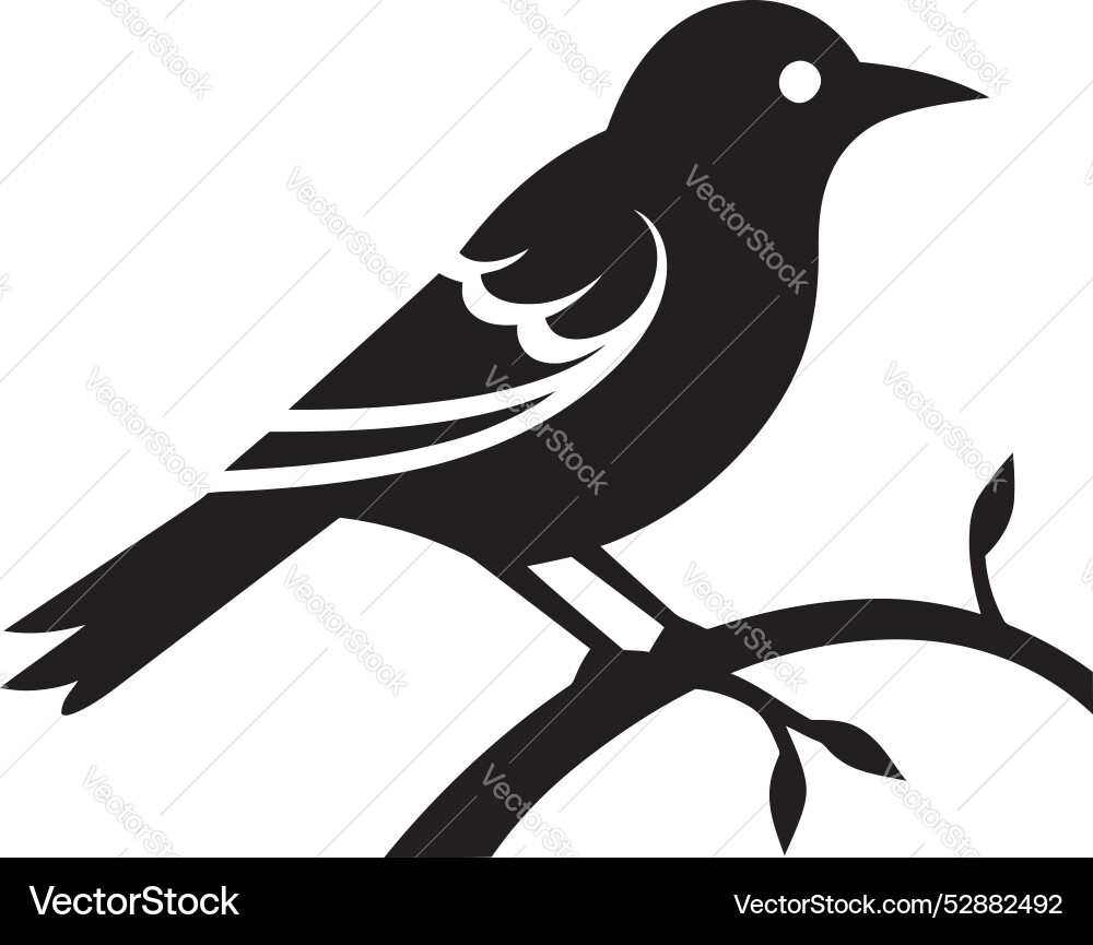 Monogram macaw badge toucan leadership symbol Vector Image